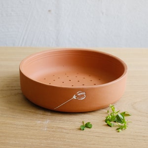 Clay Sprouter, Spouting Seed Sprouter, Microgreen Sprouter, Sprouting ...