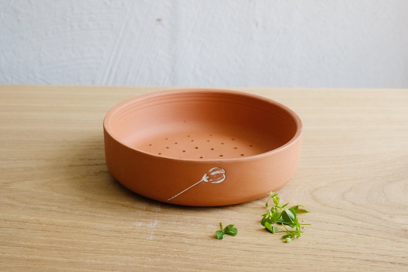 Clay Sprouter Spouting Seed Sprouter Microgreen Sprouter - Etsy