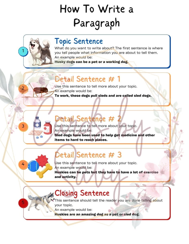 How to Write a Paragraph- With Practice Sheets- Color Code; Classroom ...