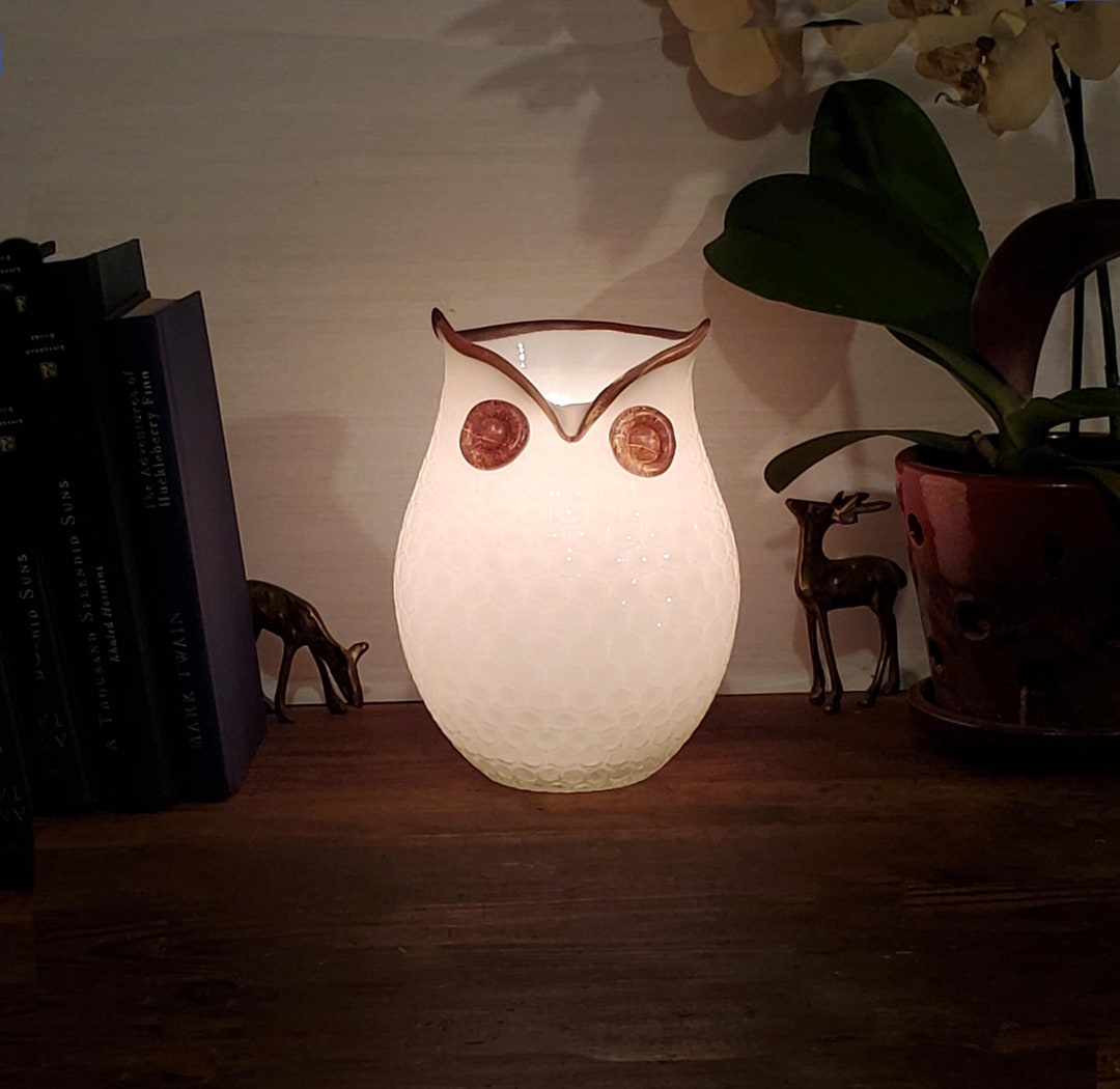 Glass Owl Lamp - Upcycled Unique Lamp, White, Decorative Night Light ...