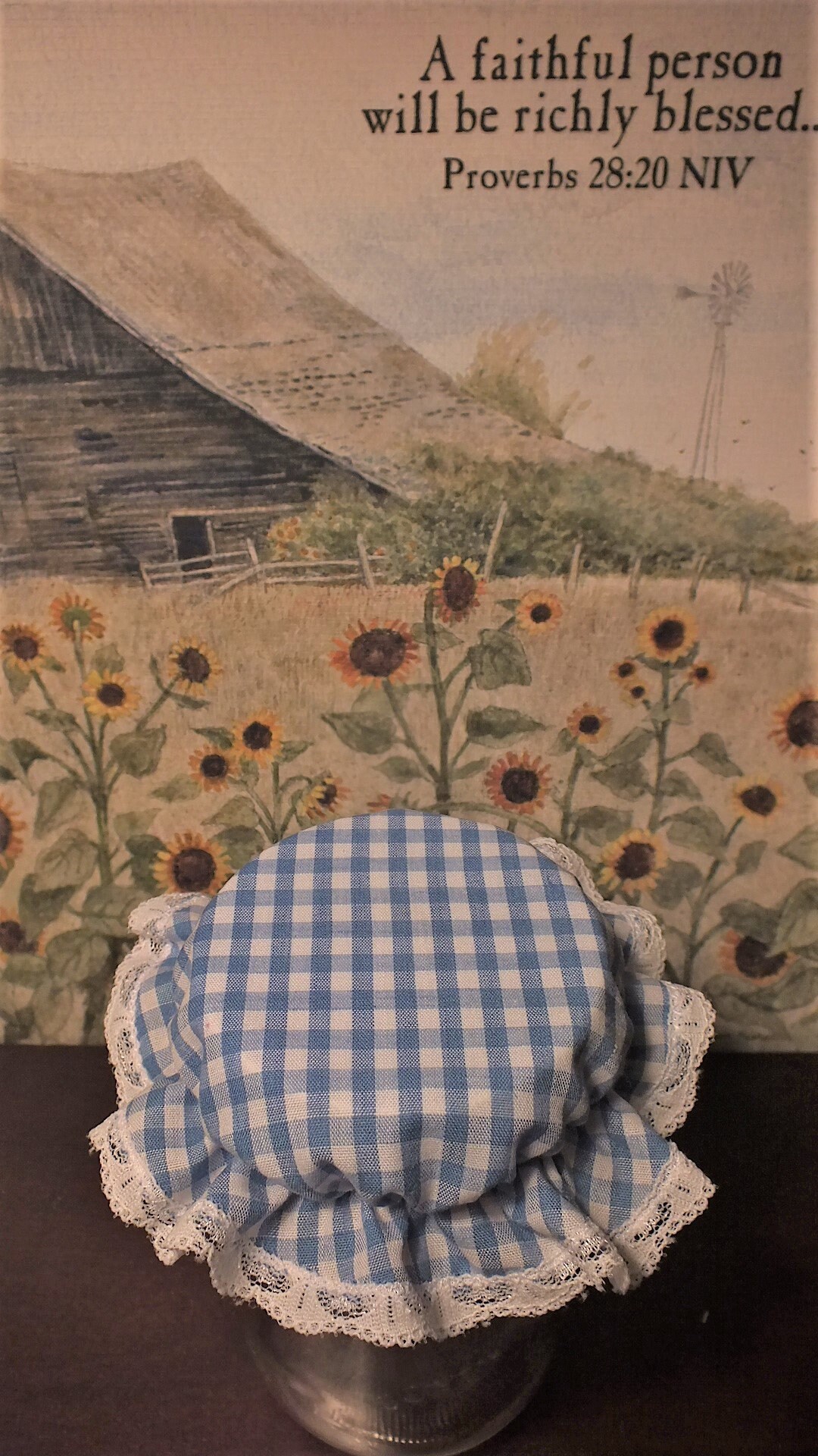 Blue Gingham Check Jam Jar Lid Covers - Mason Canning Jar Bonnets - Etsy