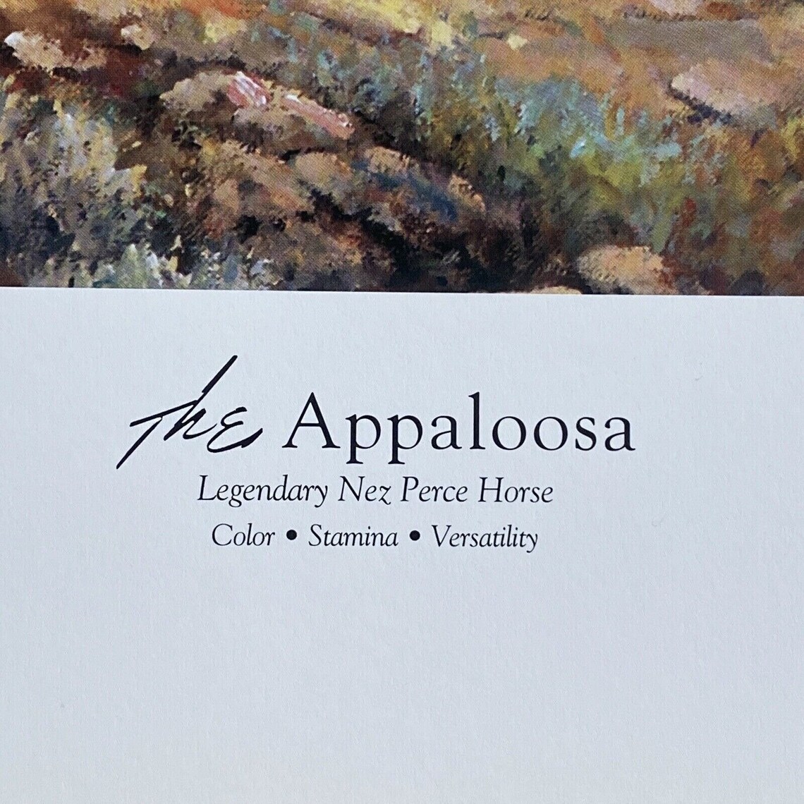 Orren Mixer Art Print Appaloosa Horse Mare and Foal 20 X 24 1999 Poster ...