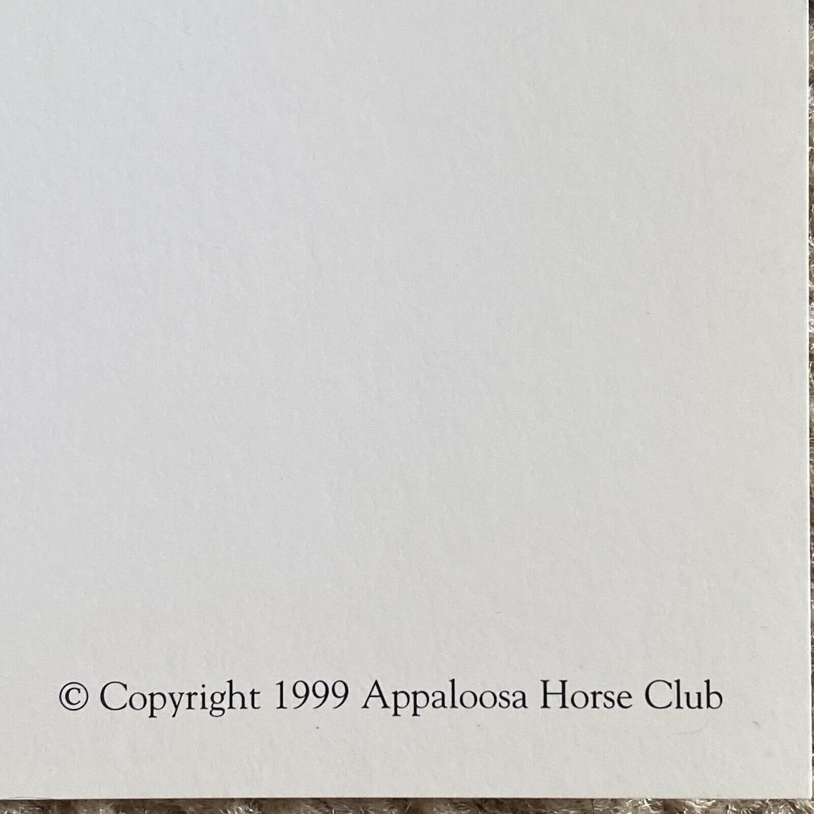 Orren Mixer Print Appaloosa Horse Mare and Foal 20 X 24 1999 - Etsy
