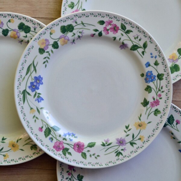 Colored Ceramic Dinner Plates - Etsy