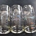 Vtg Set of 3 Ned Smith Handpainted Weighted Tumblers Drinking Highball ...