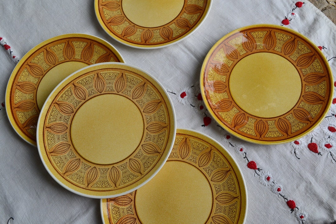 Vtg Farmhouse Plates Set of 6 Ironstone Dinner Plates MCM Atomic Onions ...