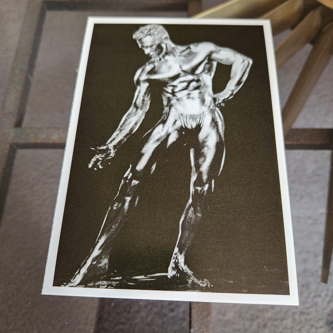 Vintage Beefcake Postcard Silvered Vince Gironda Painted Male ...