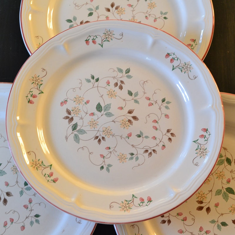 Botanical Dishes - Etsy