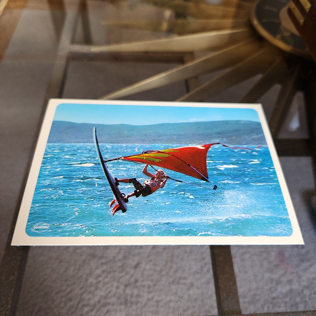 70s Beefcake Postcard 4x6 Windsurfing Photo Wind Surfing Photograph ...
