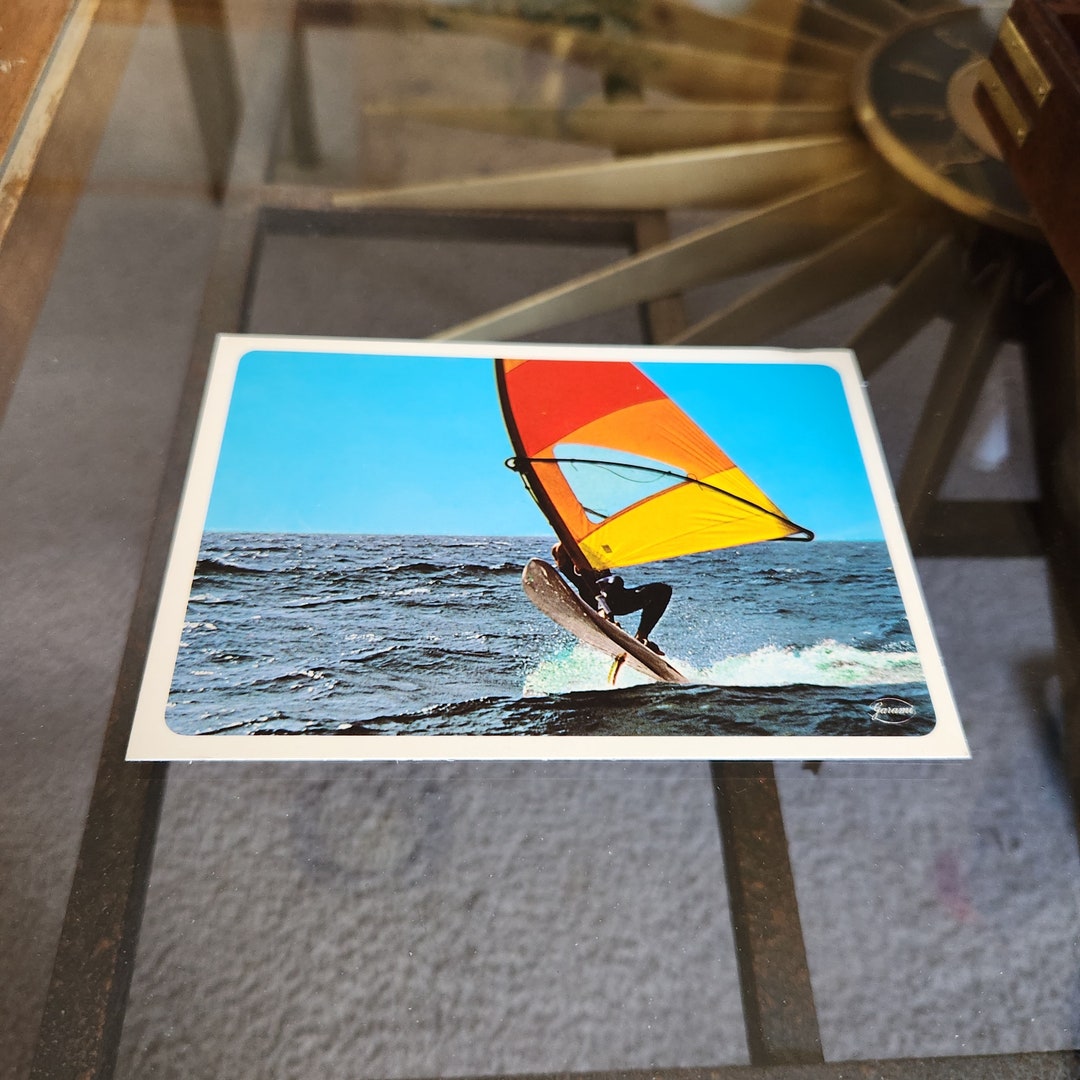 70s Beefcake Postcard 4x6" Windsurfing Photo Wind Surfing Photograph ...