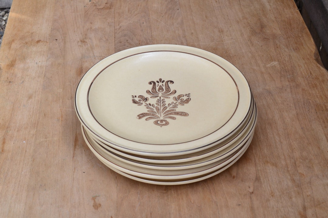 Vtg Farmhouse Plates Set of 5 Dinner Plates Pfaltzgraff Village Large ...