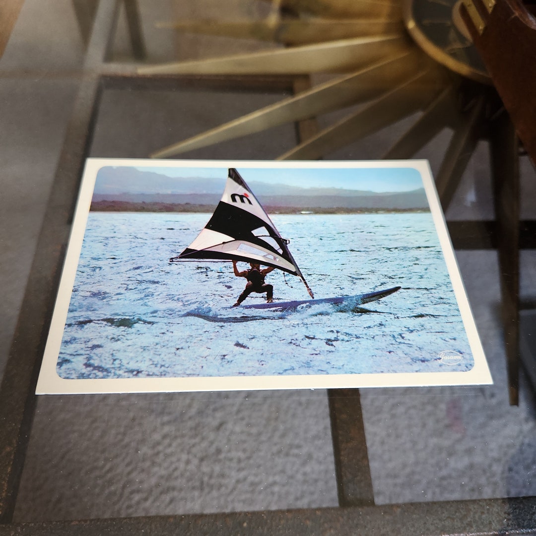 70s Beefcake Postcard 4x6" Windsurfing Photo Wind Surfing Photograph ...