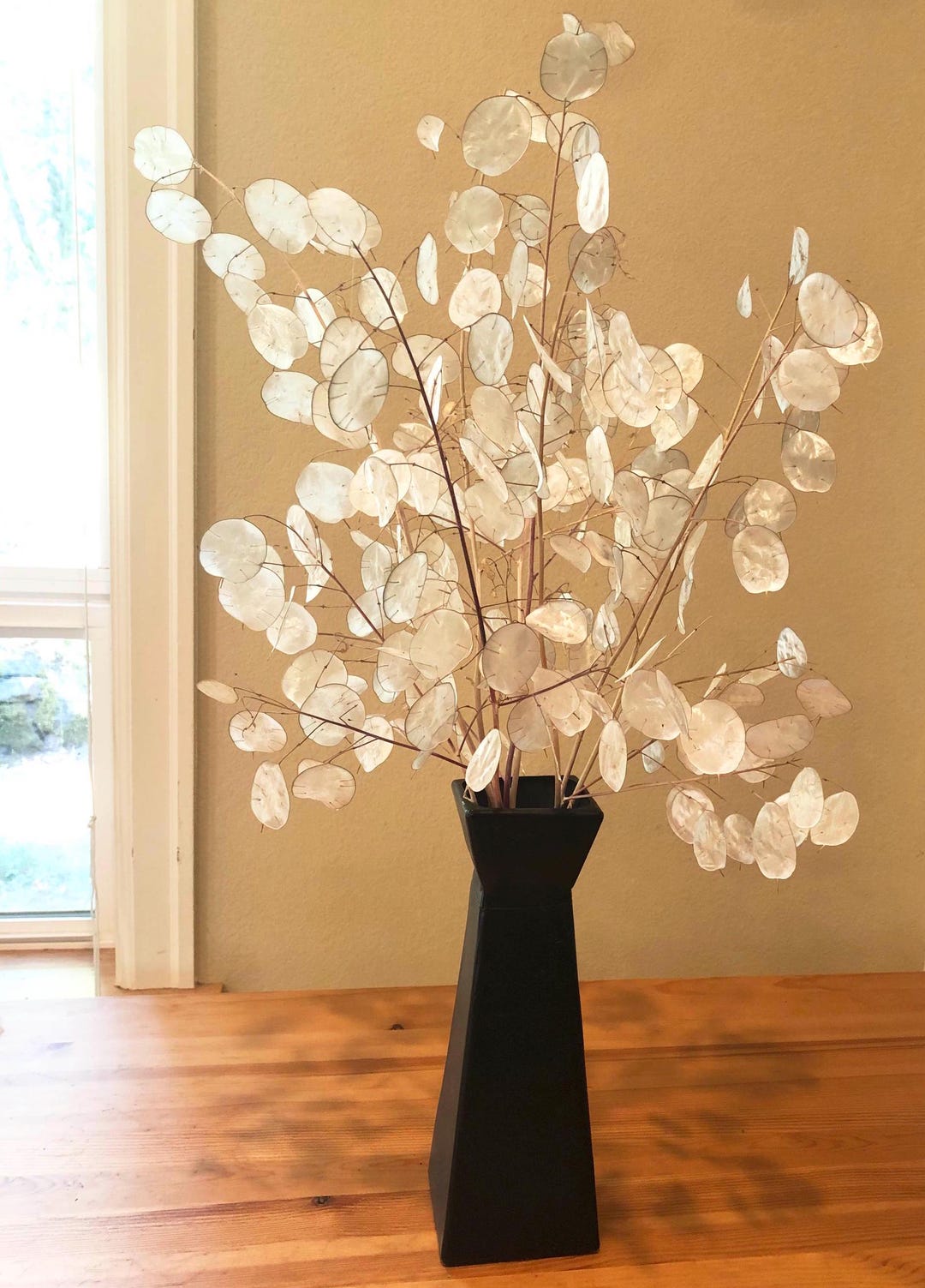 10 Tall Lunaria Branches, Money Plant, Natural Dried Arrangement - Etsy