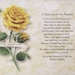 Memory of Son, Sympathy Gifts, Memorial Day Gift Idea, Condolence Gifts ...