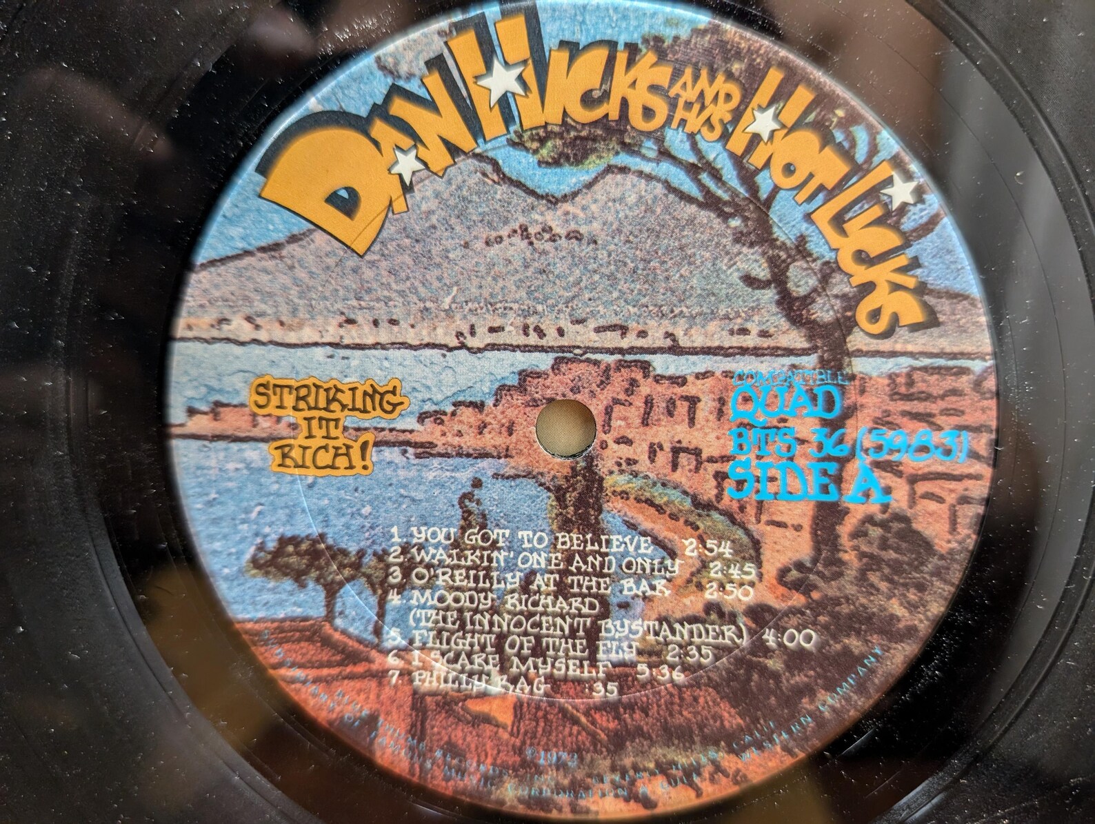 Dan Hicks & His Hot Licks - Striking It Rich! - Vinyl - Etsy