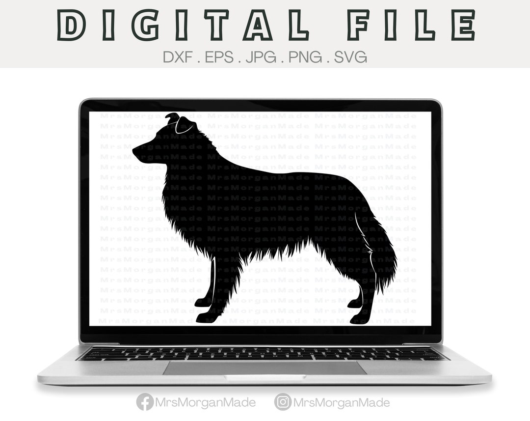 Border Collie Dog Svg Png Dxf Eps Jpg, Instant Digital File Download ...