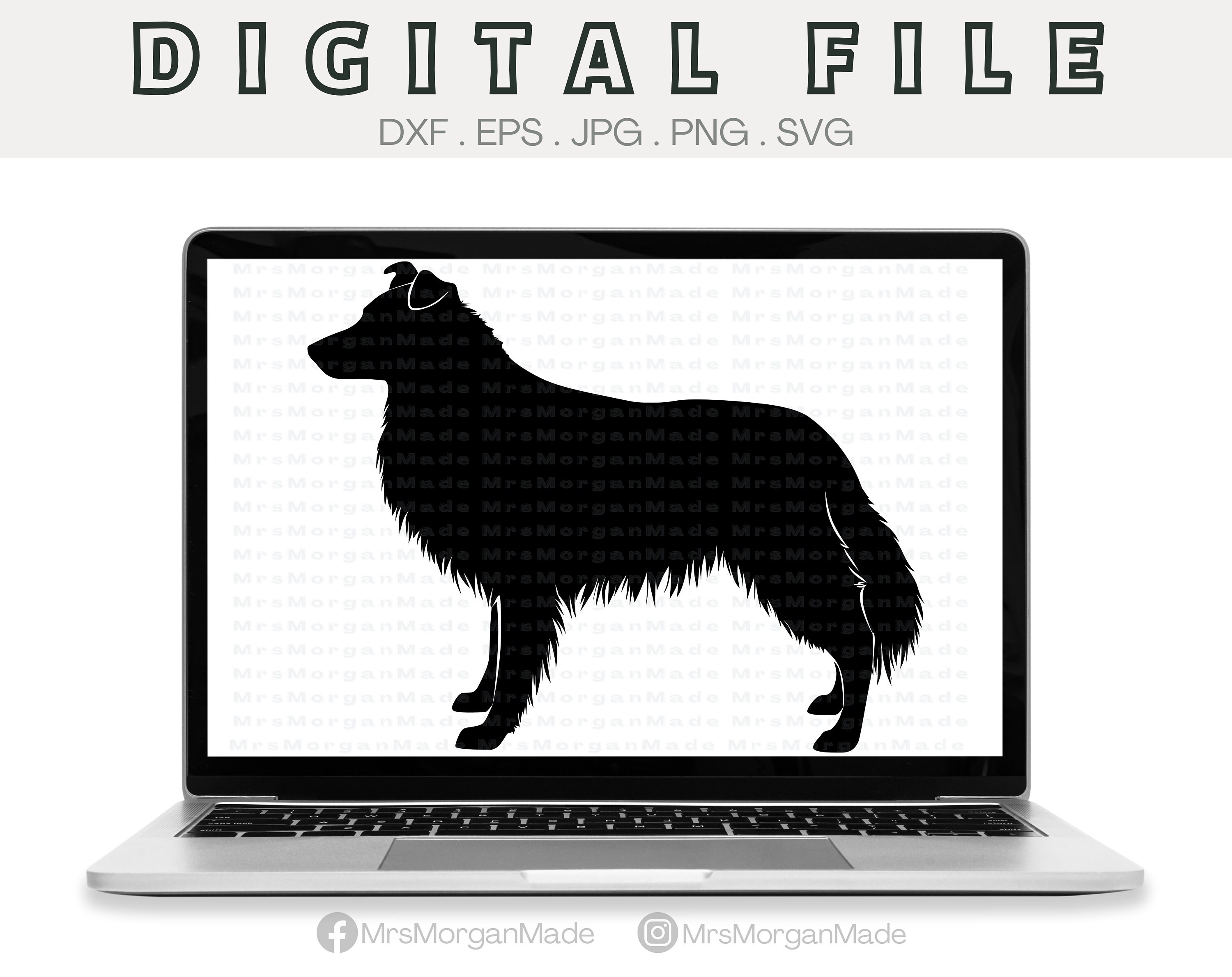 Border Collie Dog Svg Png Dxf Eps Jpg, Instant Digital File Download ...