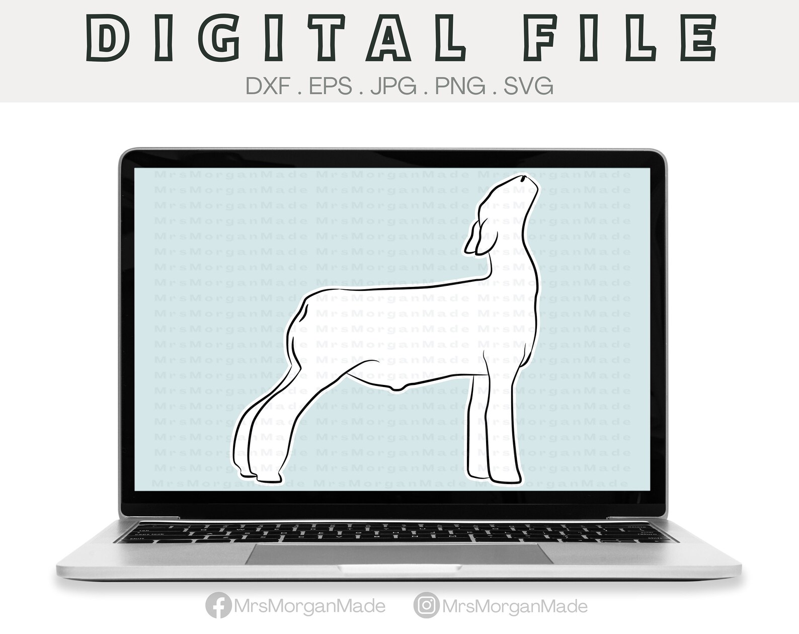 Show Lamb Market Sheep Set Svg Png Dxf Eps Jpg, Instant Digital File ...