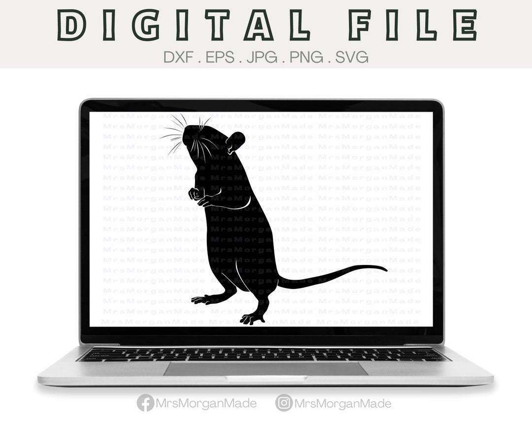Fancy Rat Svg Png Dxf Eps Jpg, Instant Digital File Download, Clipart ...
