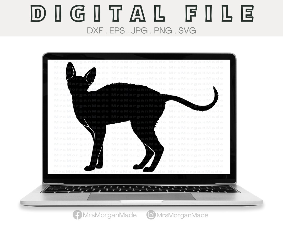 Cornish Rex Cat Svg Png Dxf Eps Jpg, Instant Digital File Download ...