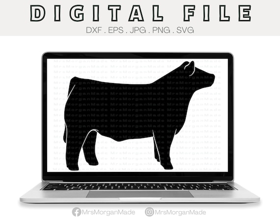 Show Steer Svg Png Dxf Eps Jpg Instant Digital File Download - Etsy