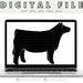 Show Steer Svg Png Dxf Eps Jpg, Instant Digital File Download, Clipart ...