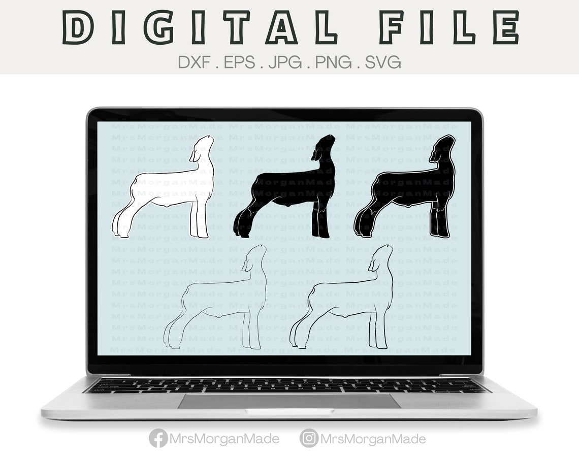 Show Lamb Market Sheep Set Svg Png Dxf Eps Jpg, Instant Digital File ...