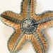 Vintage WADE Porcelain Starfish Dish Made in Ireland Coastal - Etsy