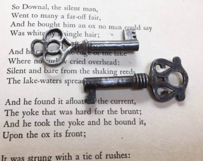 Antique Skeleton Key Pair of Hollow Barrel Ornate Victorian - Etsy