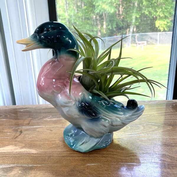 Duck Planter - Etsy
