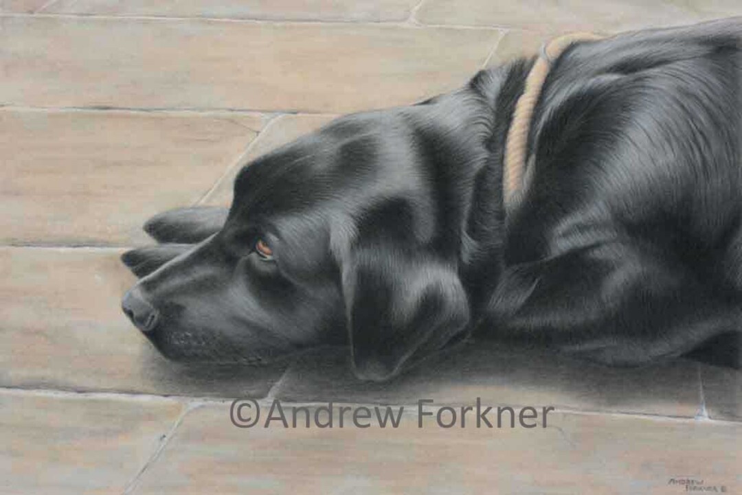Patience is a Virtue. Limited Edition Fine Art Giclee Print ...