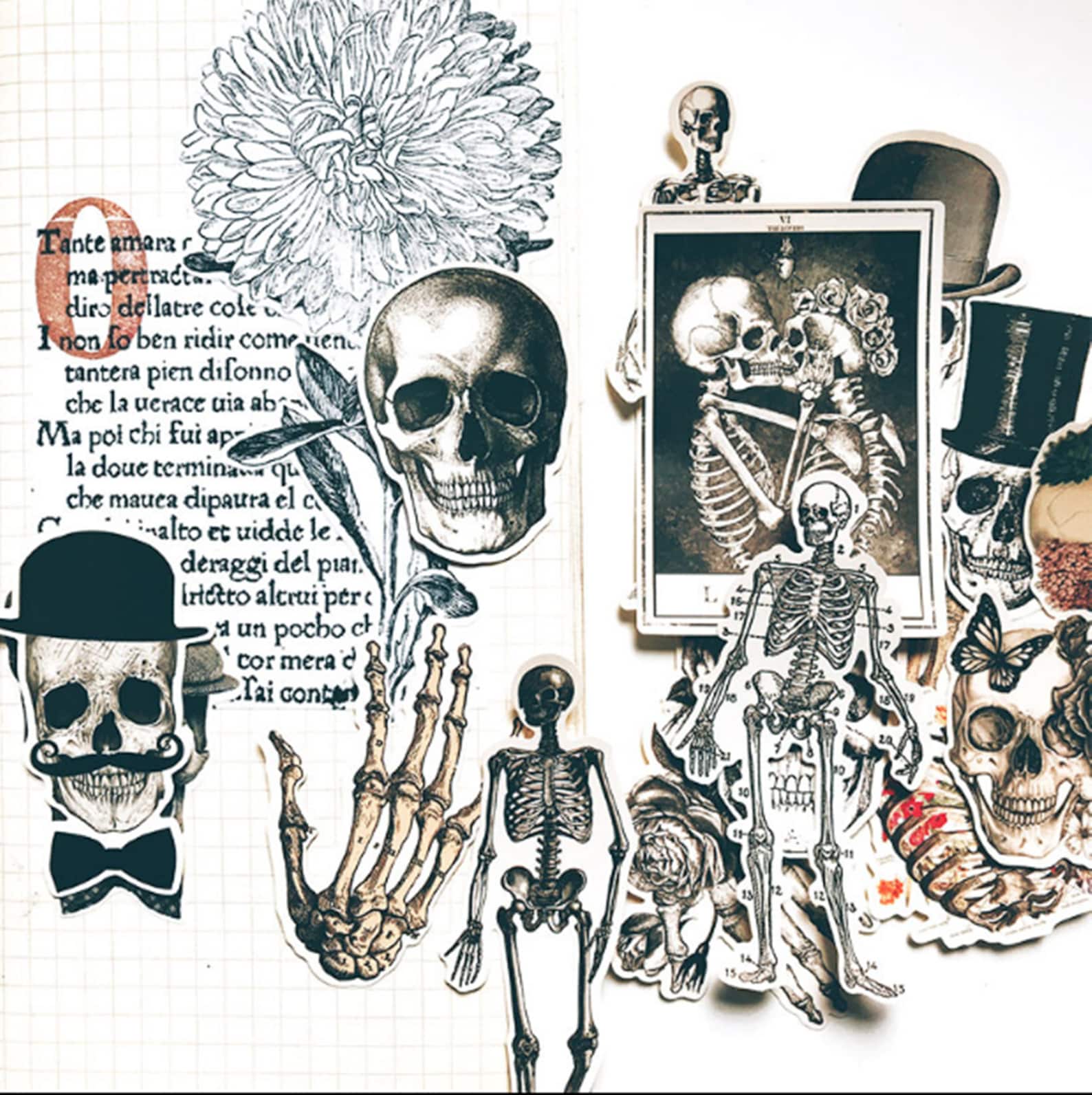 Vintage Skull Skeleton Scrapbook Sticker --junk Journal Filofax ...