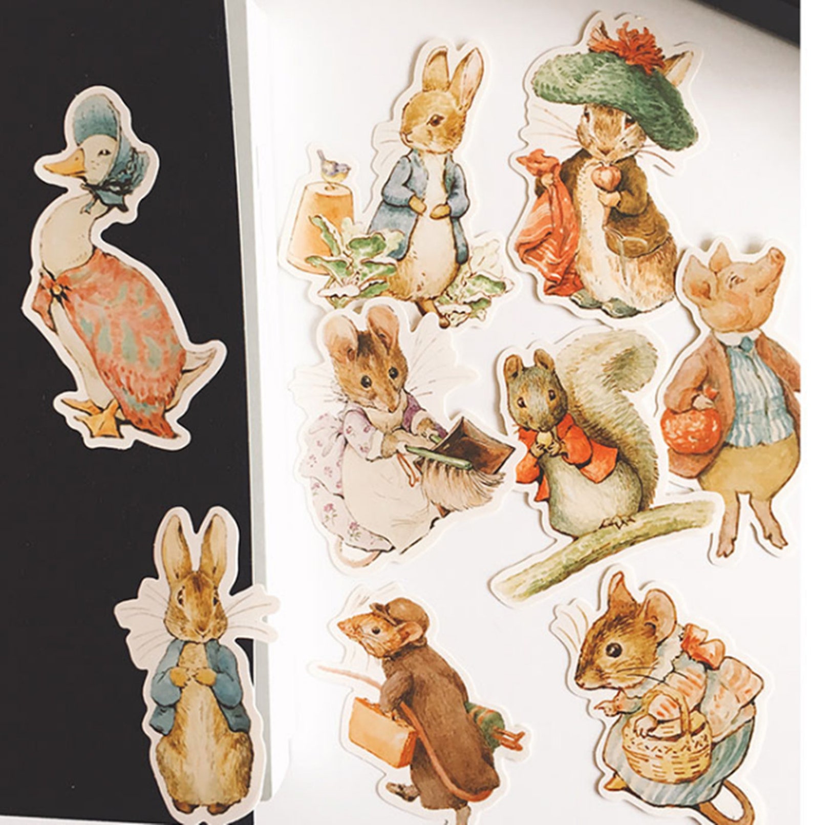 Peter Rabbit Scrapbook Stickers filofax Stickersplanner | Etsy