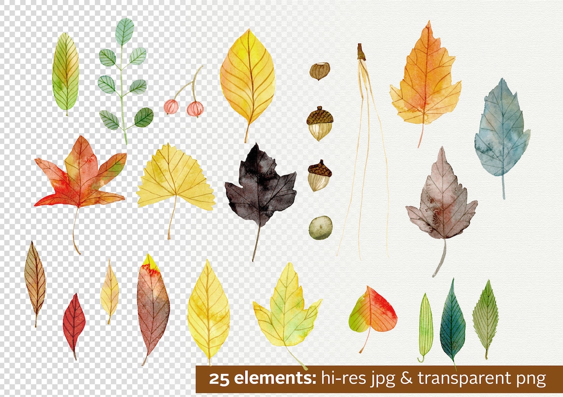 Watercolor Autumn Leaves Clipart and Digital Paper - Etsy