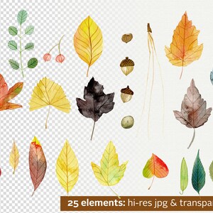 Watercolor Autumn Leaves Clipart and Digital Paper - Etsy