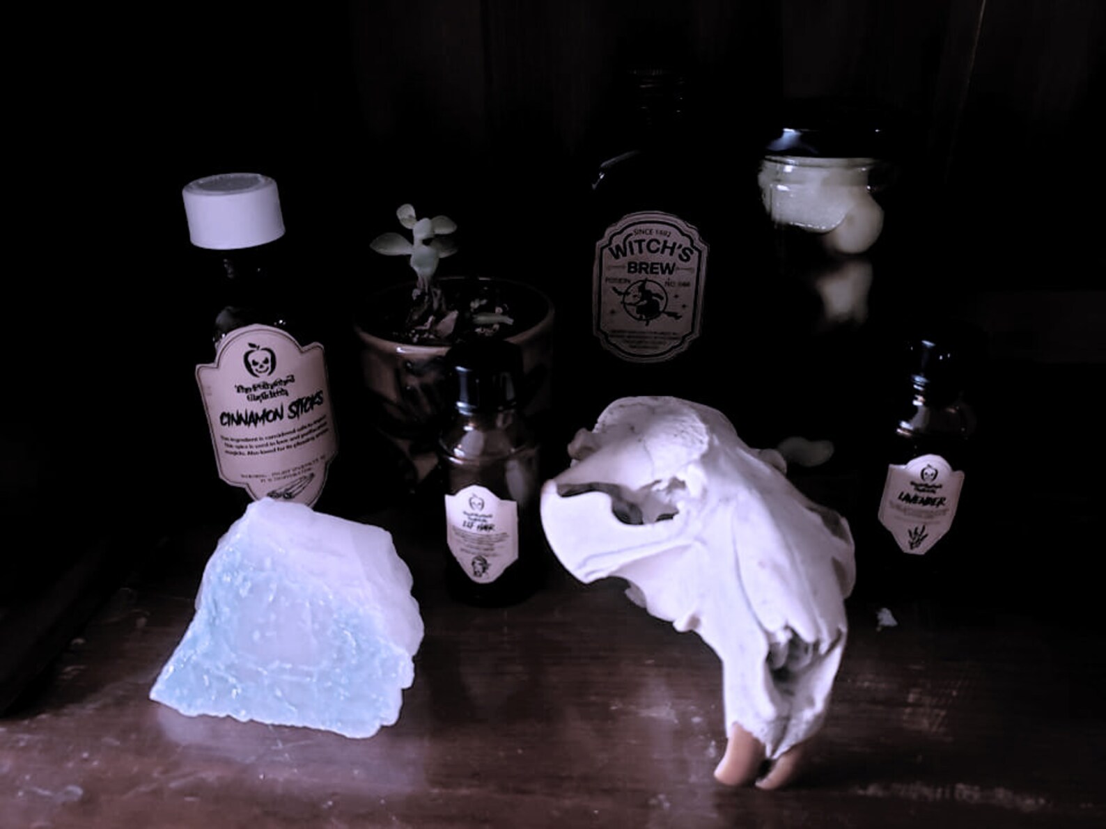 25 Potion Ingredient Printable Labels for Craftand Halloween - Etsy