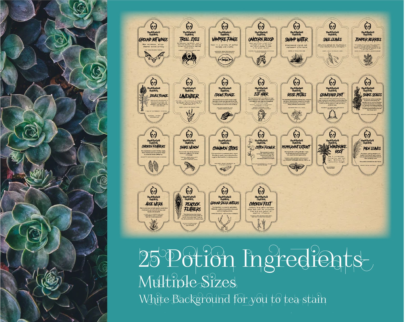 25 Potion Ingredient Printable Labels for Craftand Halloween - Etsy