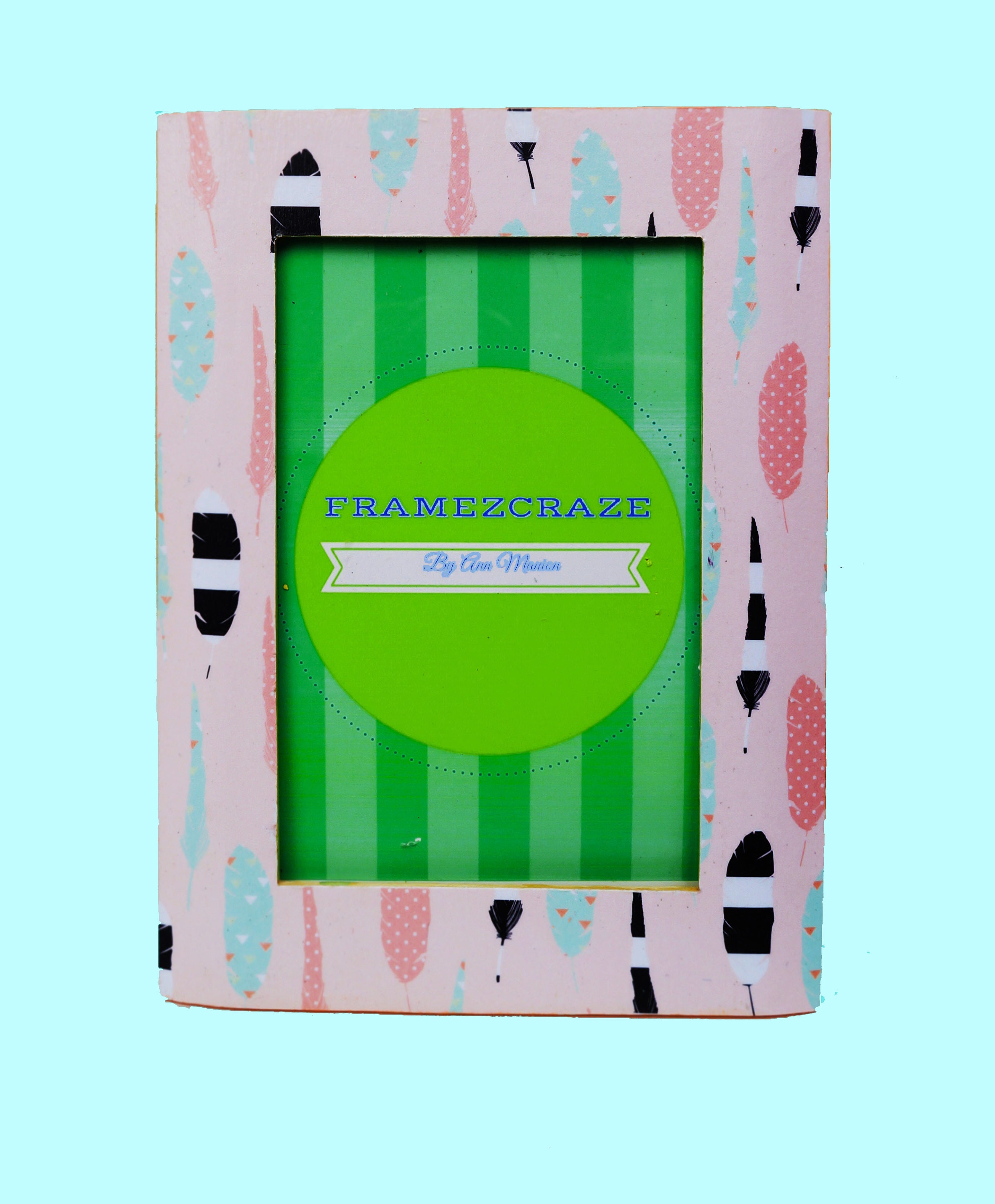 Pink Picture Frame, Frame With Feathers, Pastel Color Frame, Frame With ...