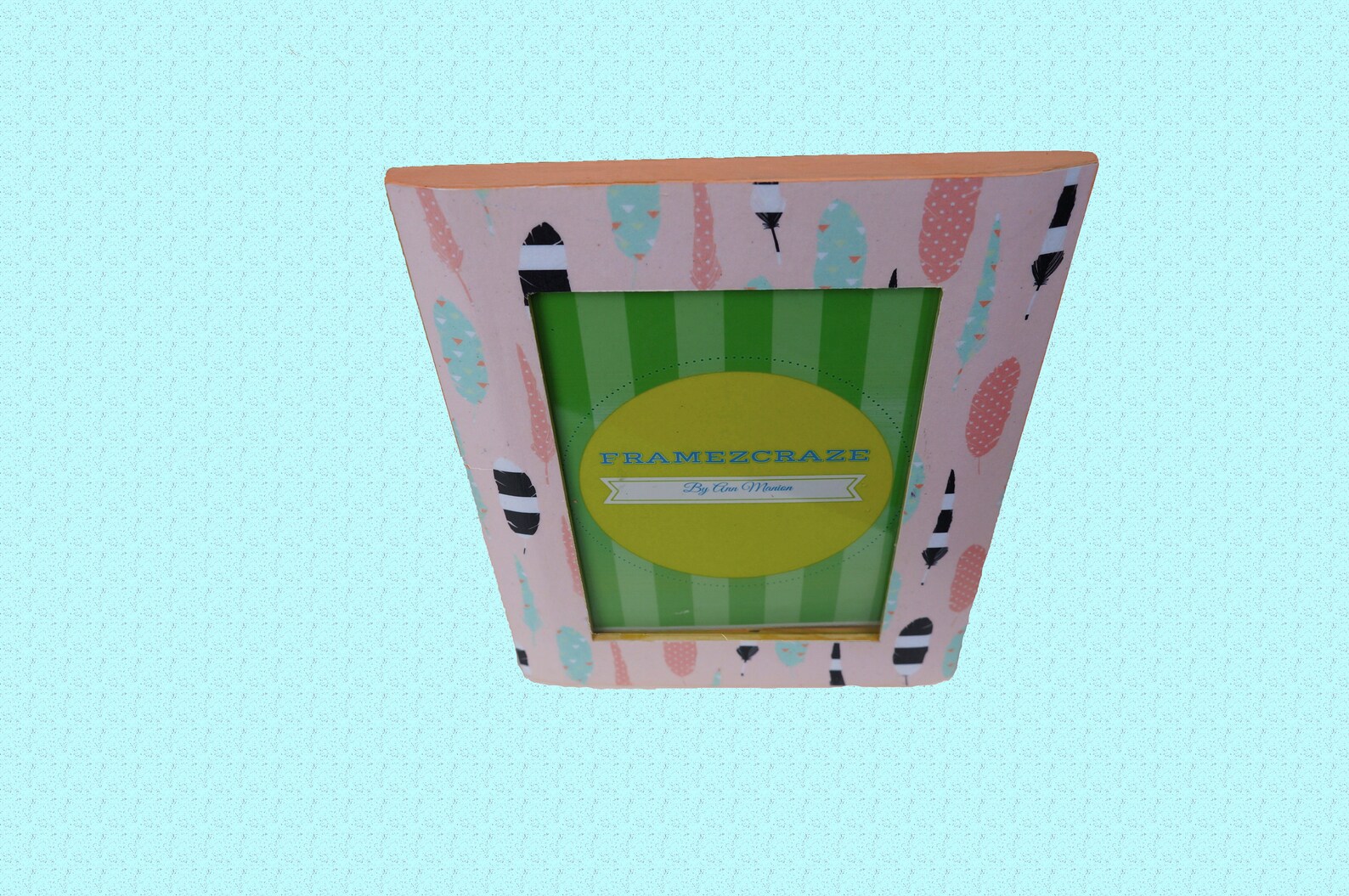 Pink Picture Frame, Frame With Feathers, Pastel Color Frame, Frame With ...