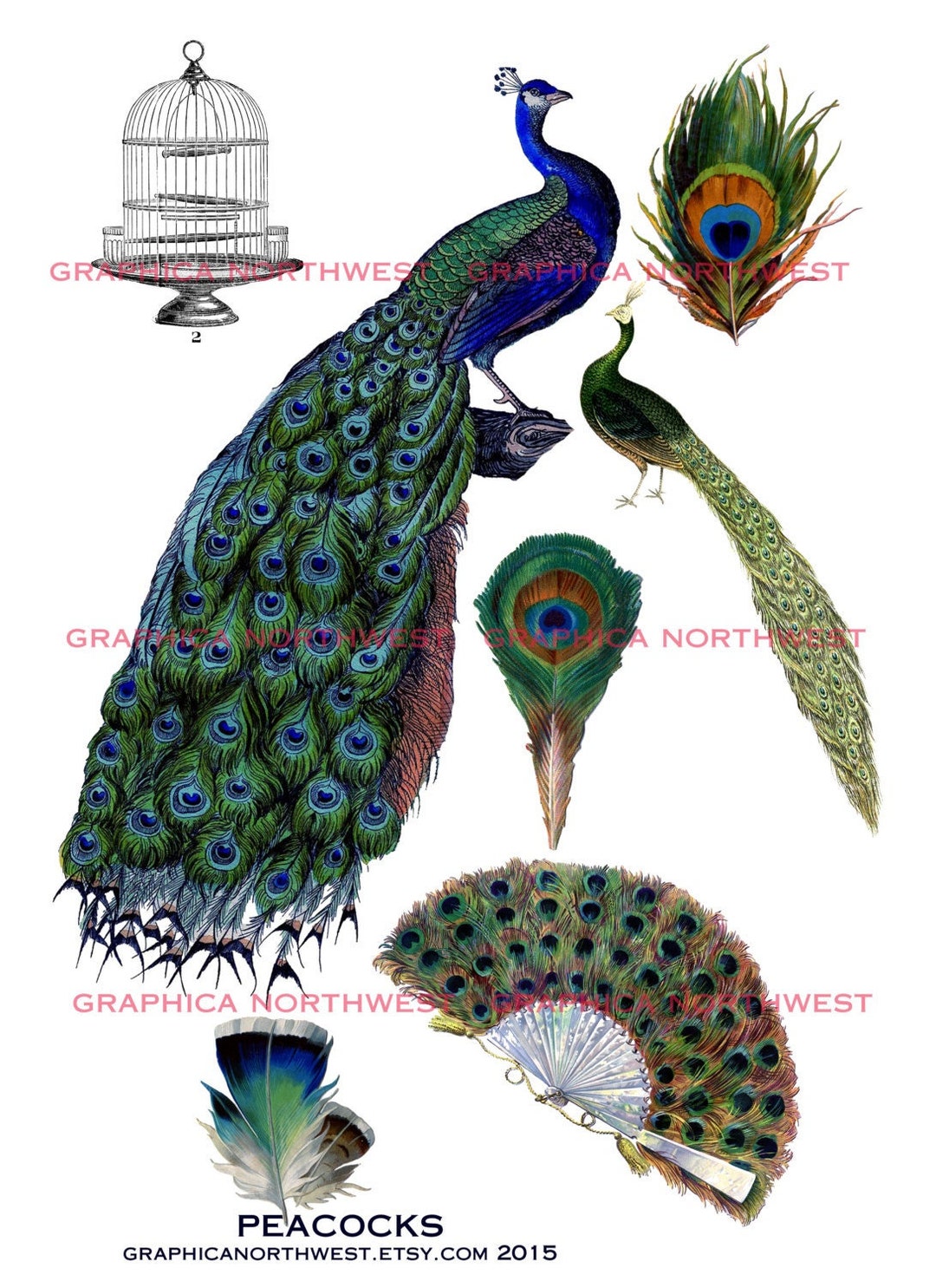 PEACOCKS Printable Crafting, Collage or Card-making Instant Download ...