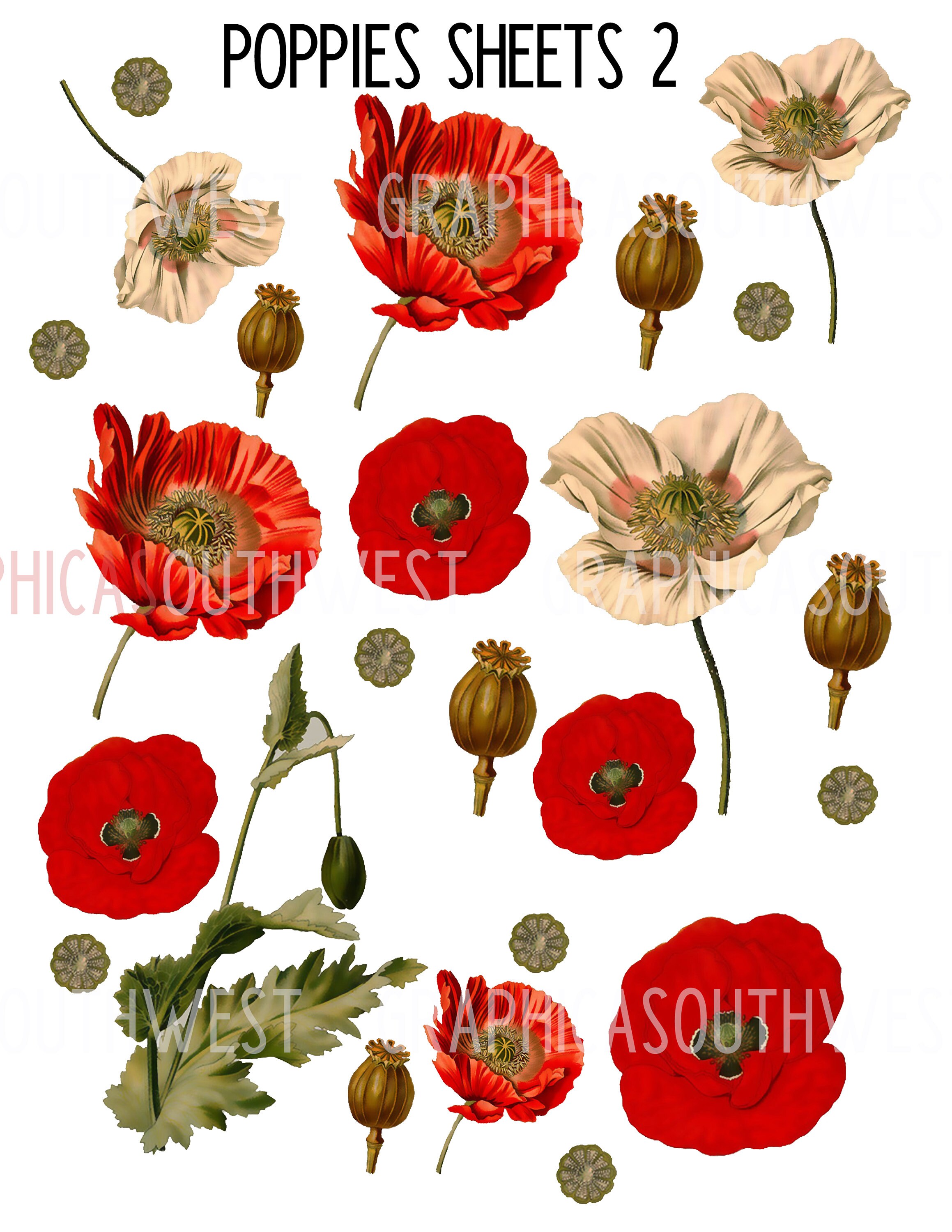 POPPIES 3 Sheets Printables Instant Download High Resolution Digital ...