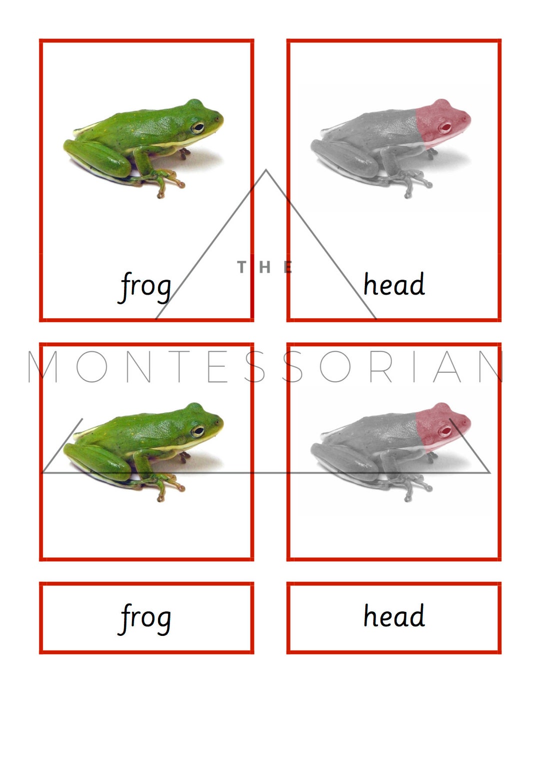Frog Three Part Cards for Educational Matching PDF Digital File - Etsy