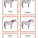 Horse Three Part Cards for Educational Matching PDF Digital File - Etsy