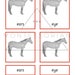 Horse Three Part Cards for Educational Matching PDF Digital File - Etsy