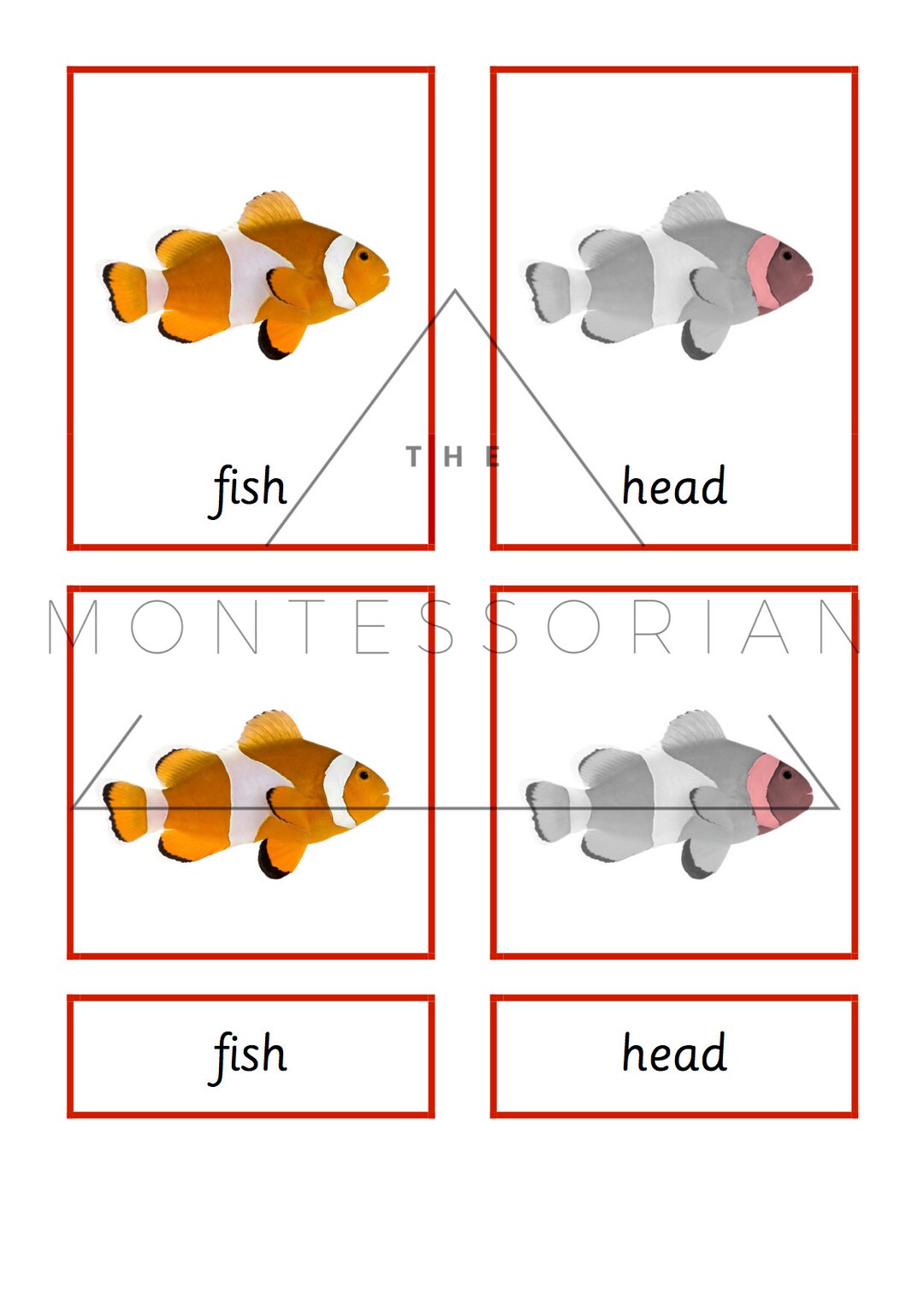 Fish Three Part Cards for Educational Matching PDF Digital File - Etsy