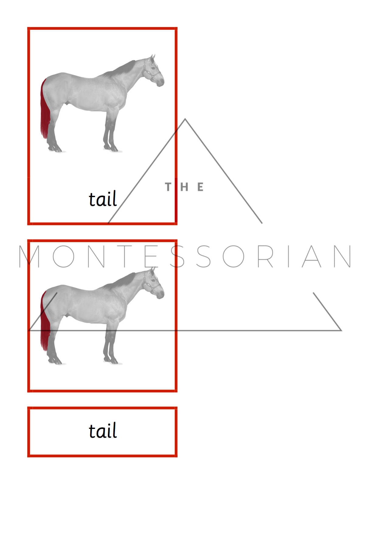 Horse Three Part Cards for Educational Matching PDF Digital File - Etsy