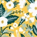 Illustrated Yellow Floral Greeting Cards | Individual or Set of 8 ...