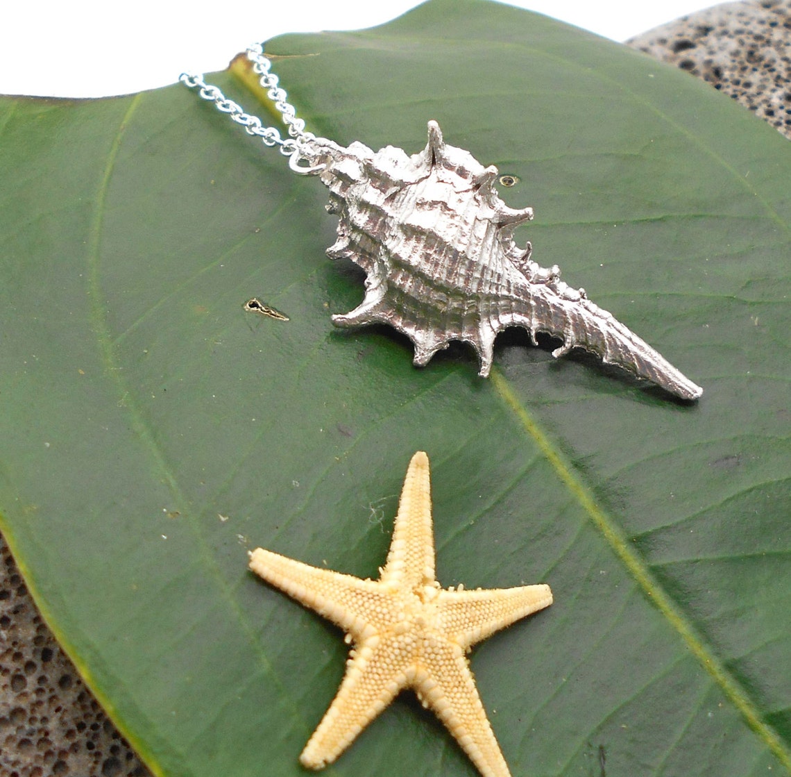 Sea Shell Necklace Surfer Beach Shell Sea Shell - Etsy