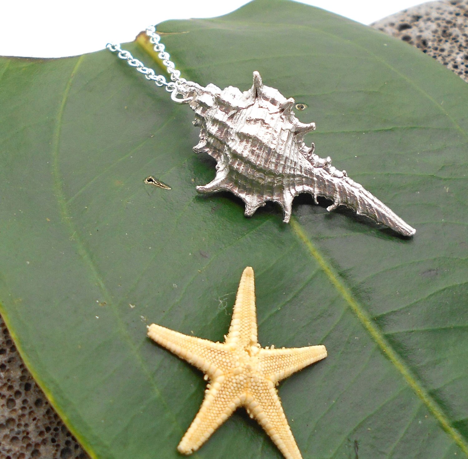 Sea Shell Necklace Surfer Beach Shell Sea Shell - Etsy