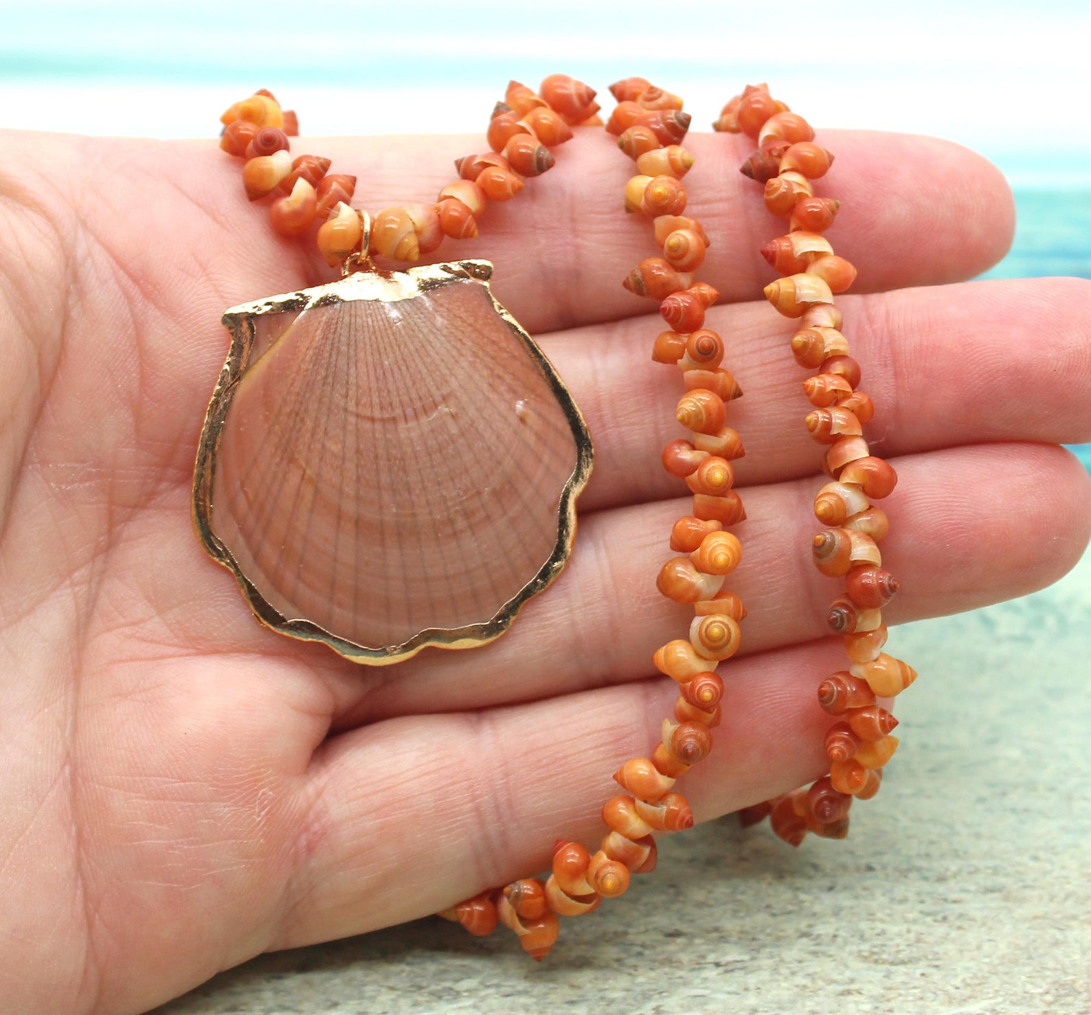 Sea Shell Necklace Mongo Snail and Scalloped Shell Necklace - Etsy